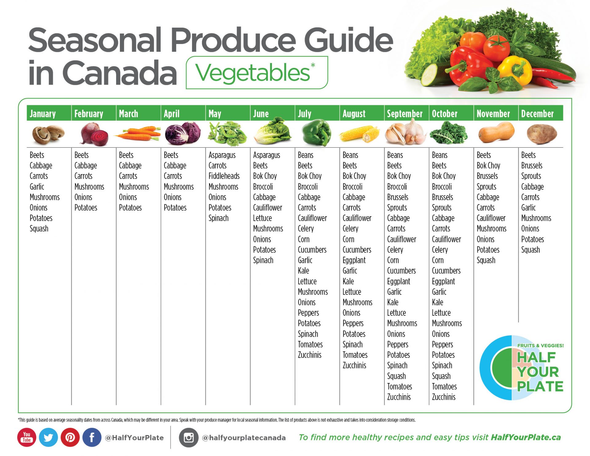 Free Resources - Half Your Plate