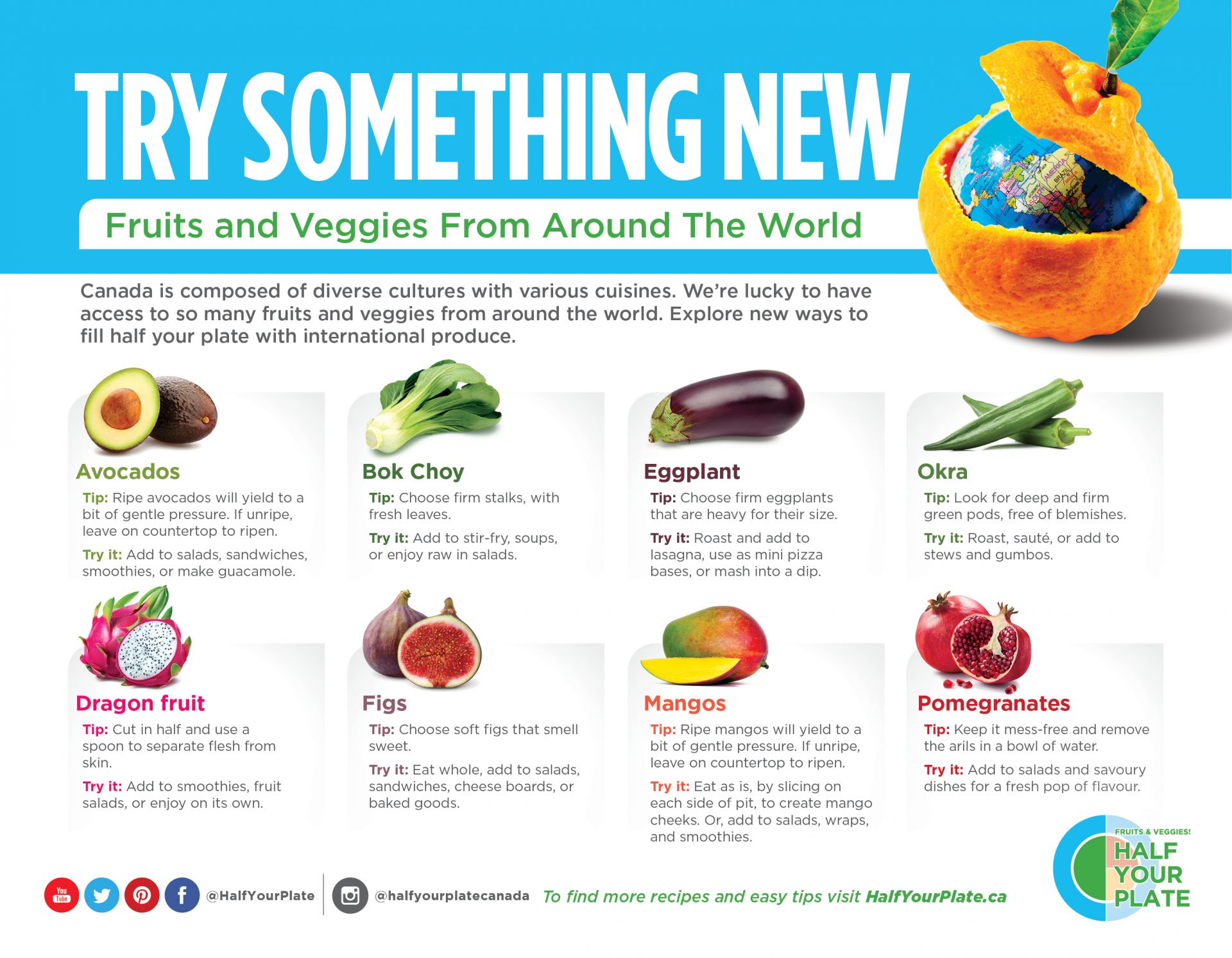 Free Resources - Half Your Plate