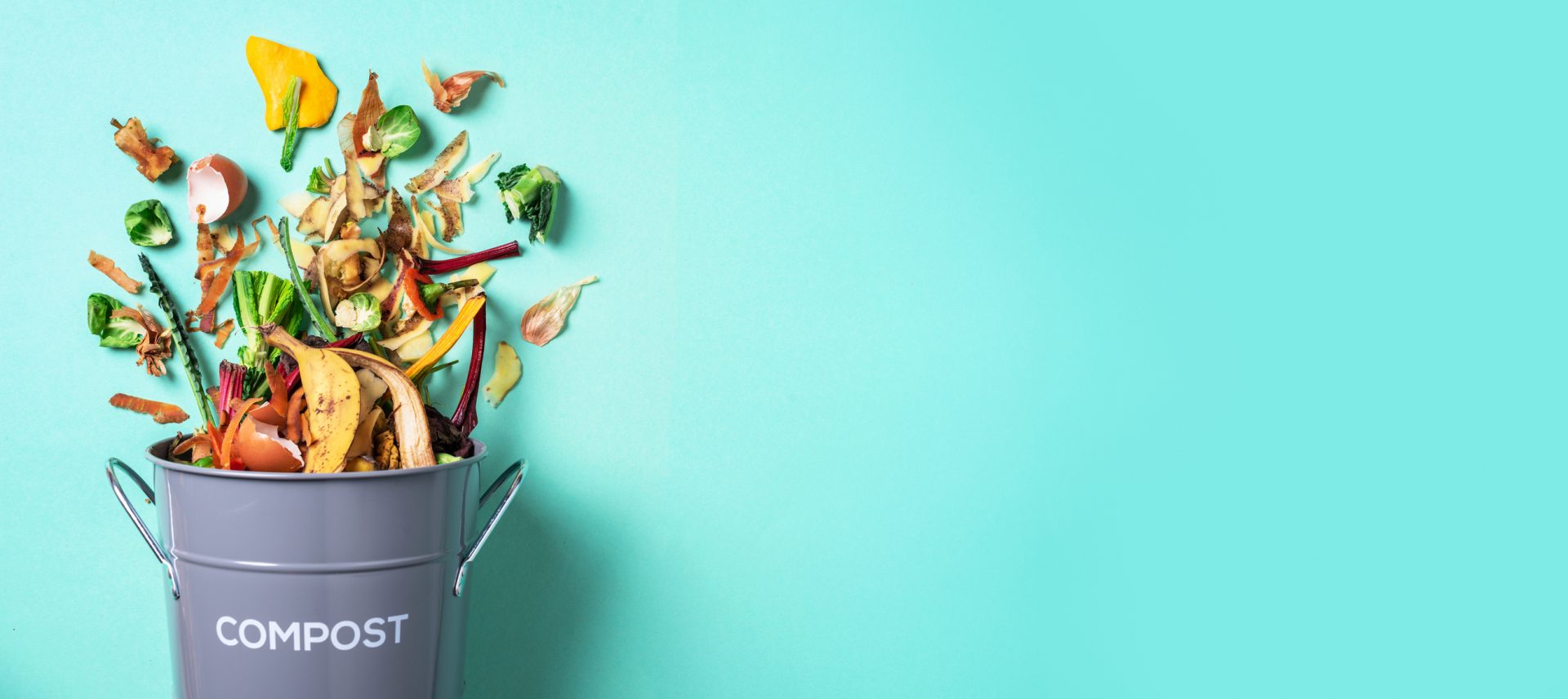 Waste Less Half Your Plate